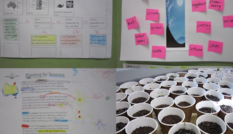 Using the Language Experience Approach — The Literacy Bug