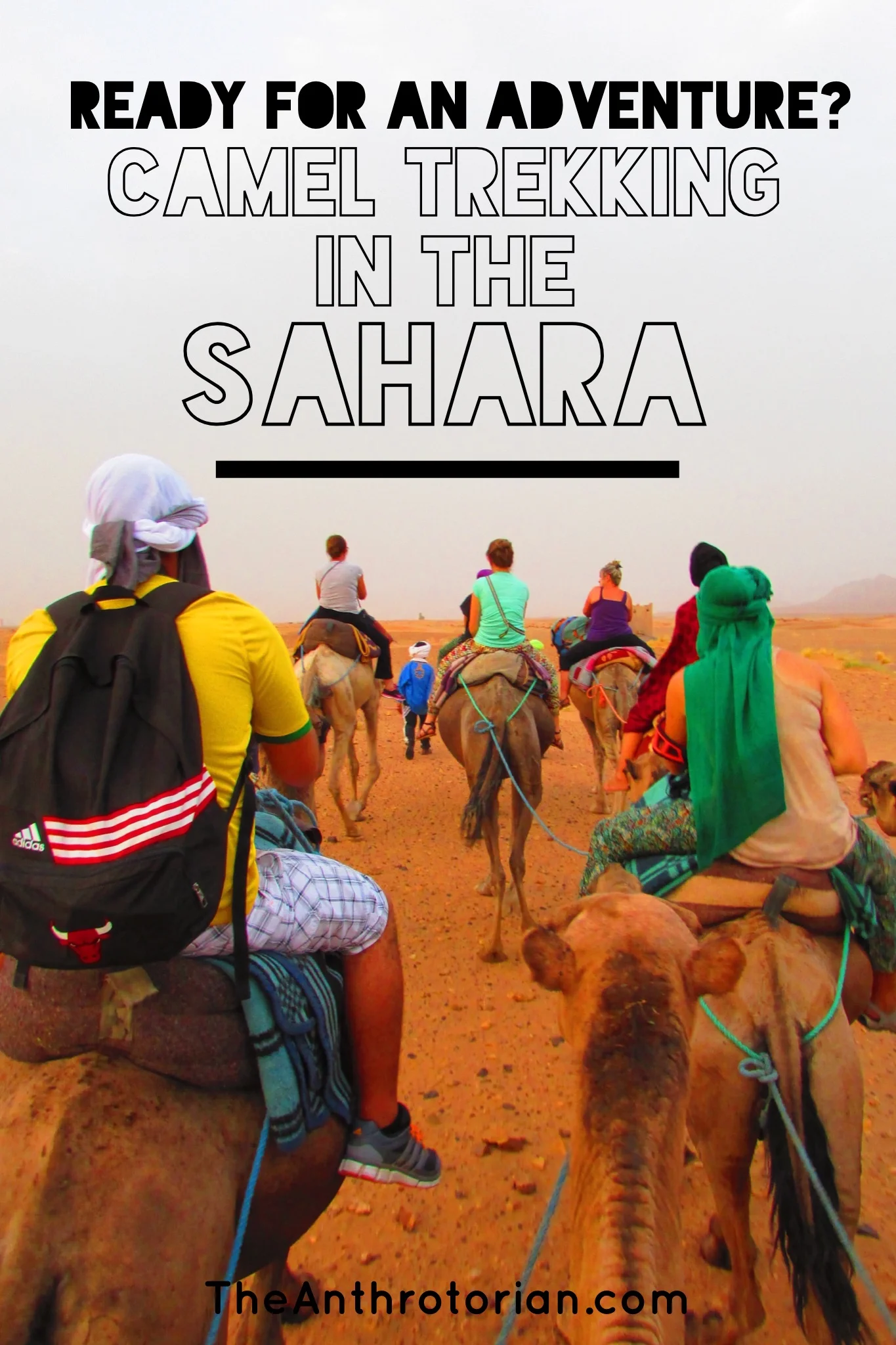 Adventure Tales: Camel Trekking in The Sahara Desert — The Anthrotorian