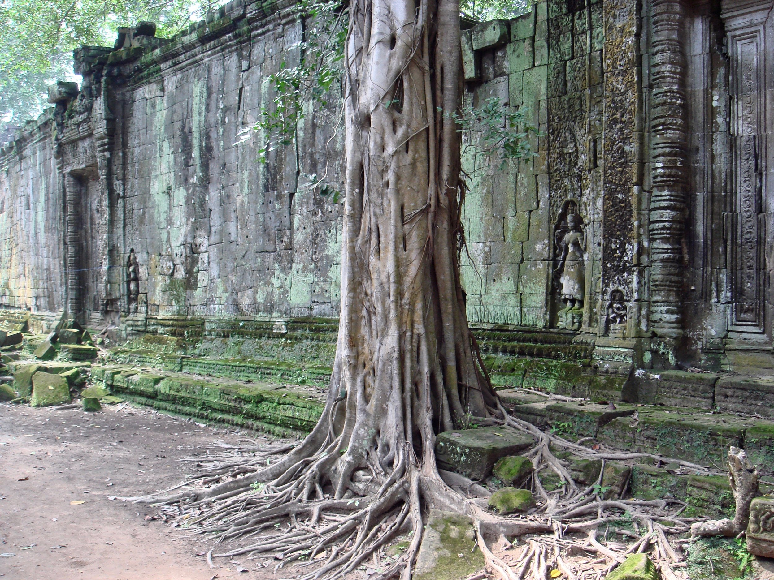 13 Incredible Photos Showing The Jungle Overtaking The Angkor Temples ...