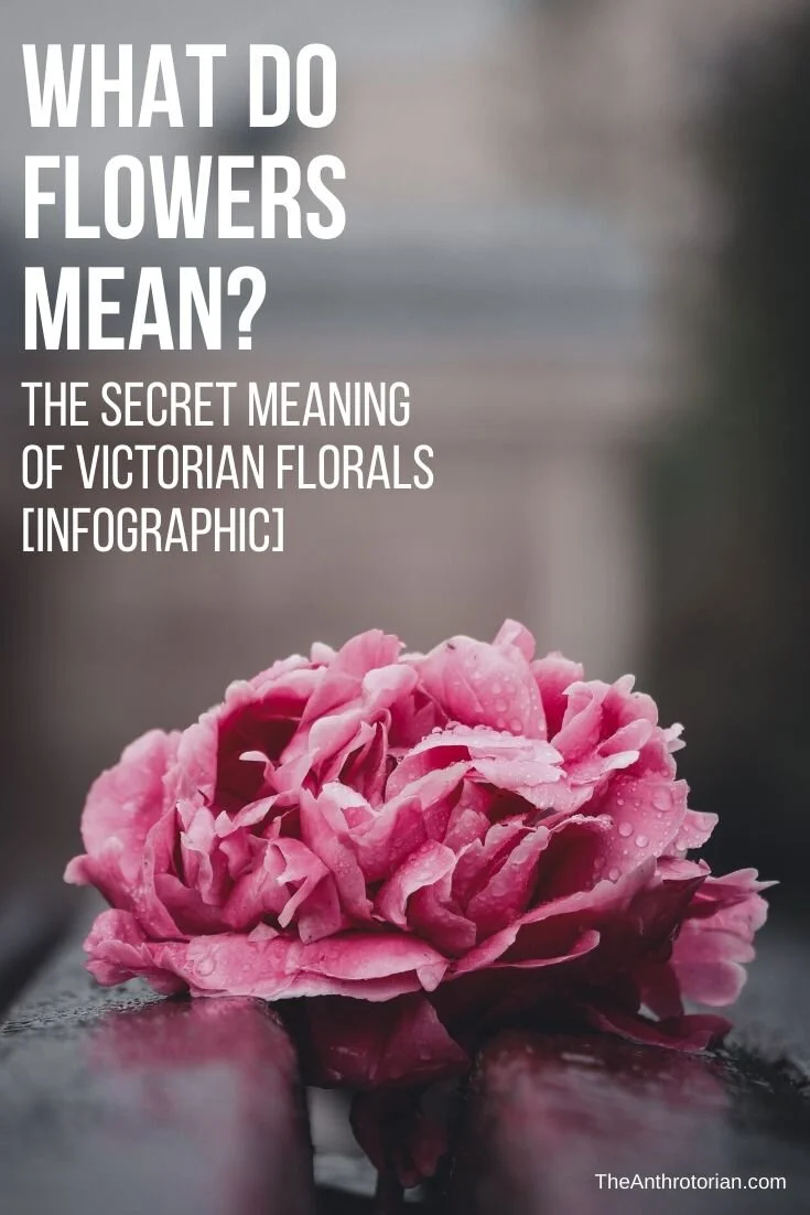 Flower Symbology: The Secret Meaning of Victorian Florals [Infographic ...