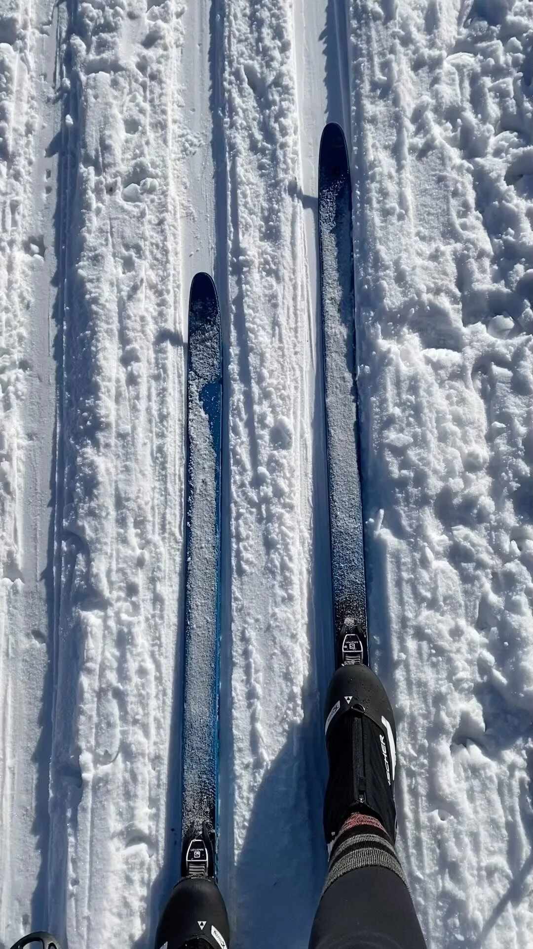 The History of Shakespearean Insults — The Anthrotorian