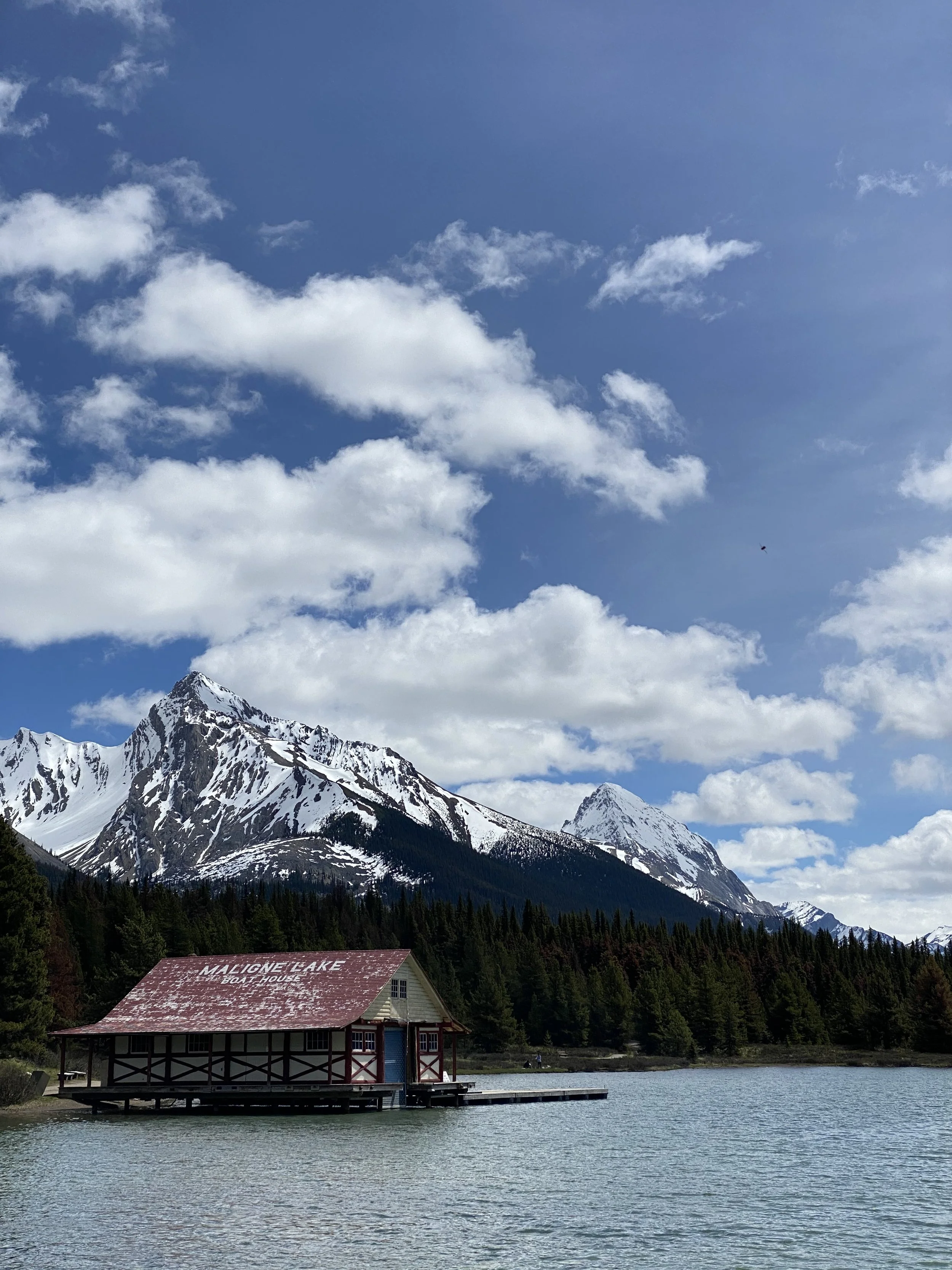 8 Lakes to Jump Into in Jasper — The Anthrotorian