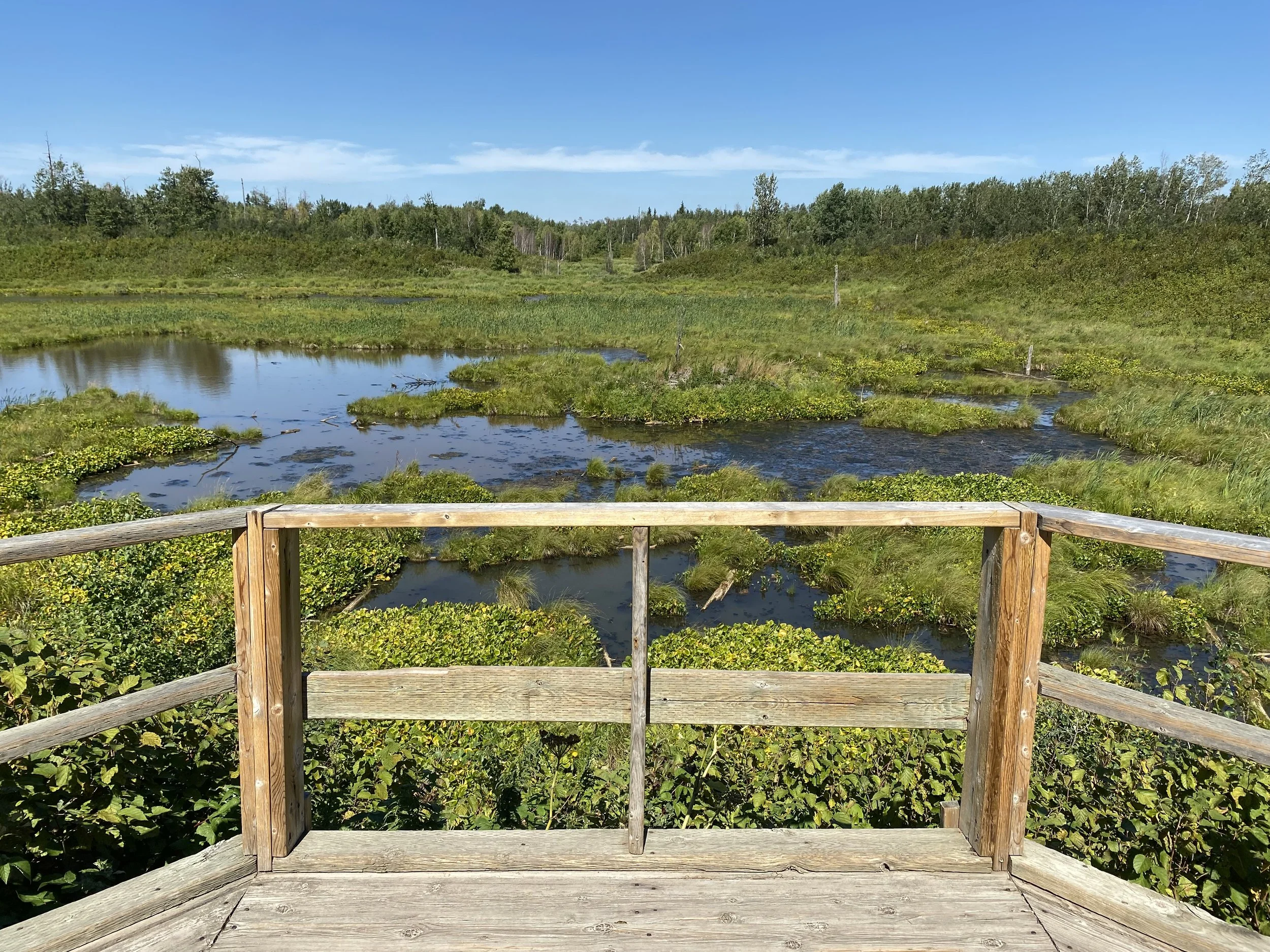 3 Spectacular Hikes in Elk Island National Park — The Anthrotorian