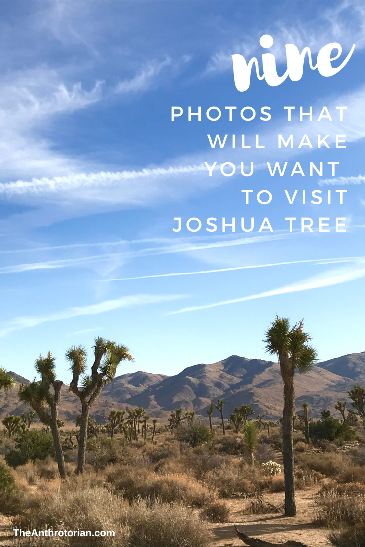 9 Photos That Will Make You Want to Visit Joshua Tree National Park ...