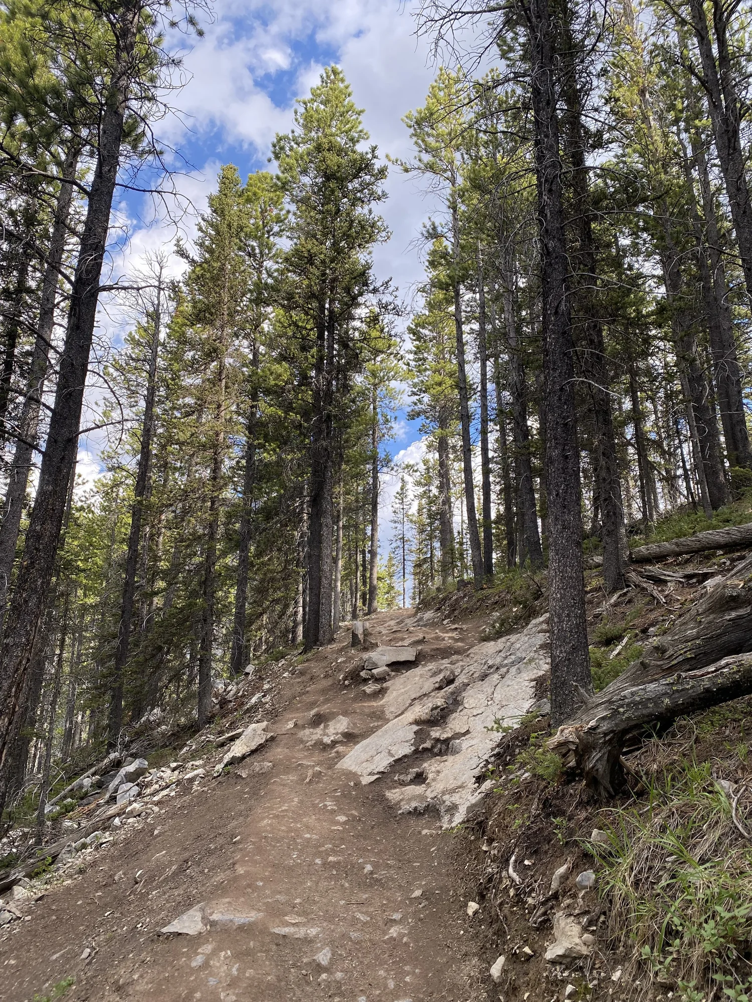 Your Guide to Solo Hiking Safely — The Anthrotorian