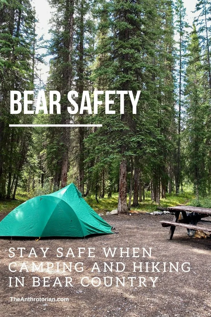 Bear Safety: How to stay safe when camping and hiking in bear country ...