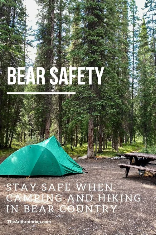 Bear Safety: How to stay safe when camping and hiking in bear country ...