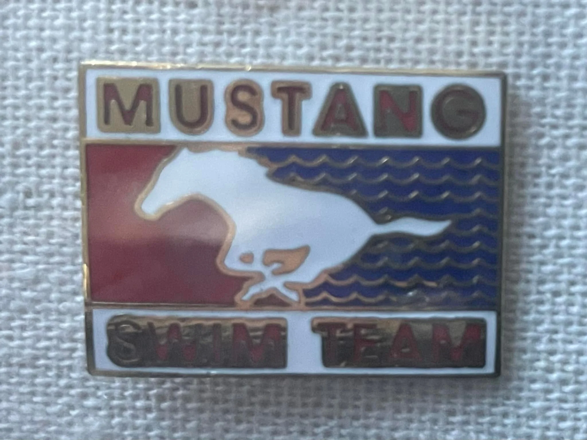 Dallas Mustang Swim Team — Texas Swimming & Diving Hall of Fame