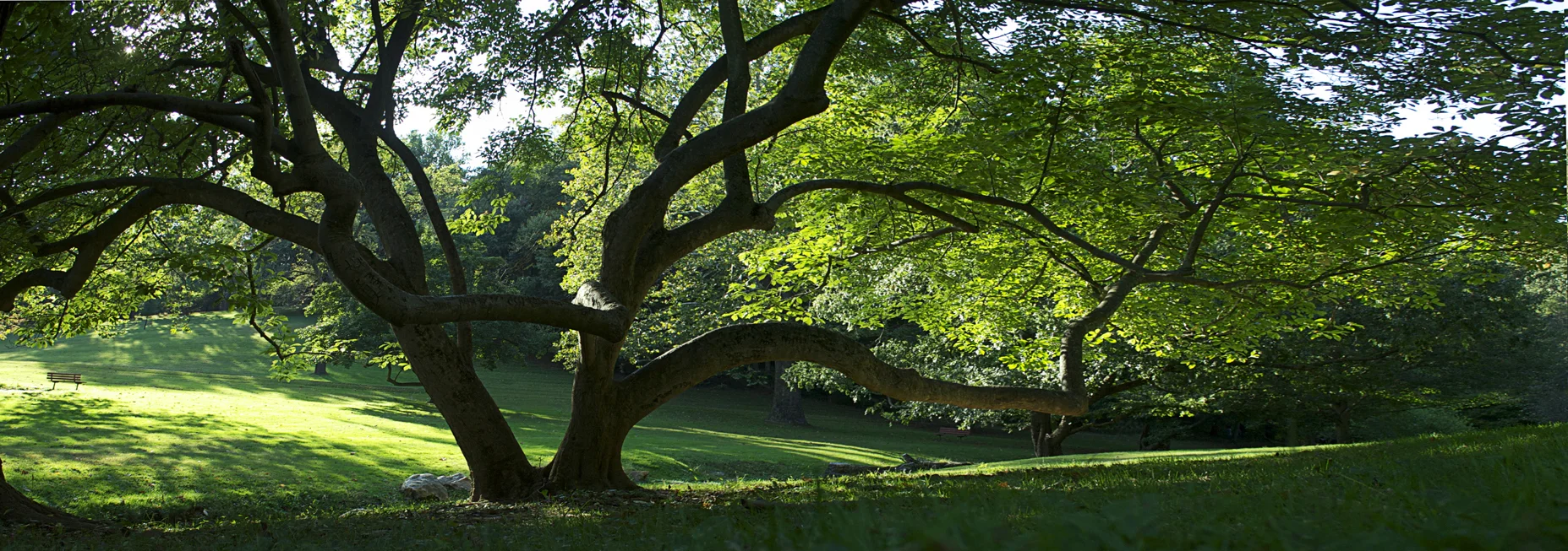 Meet the Doctor — Dr. Freda Tam, ND | Bradford & Markham Naturopathic ...