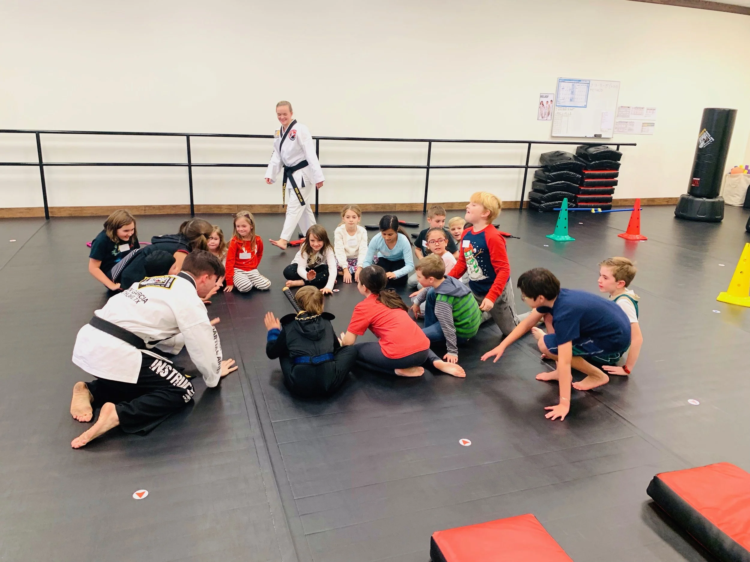 Karate Birthday Party for Mac — Reveal Martial Arts: Award Winning ...