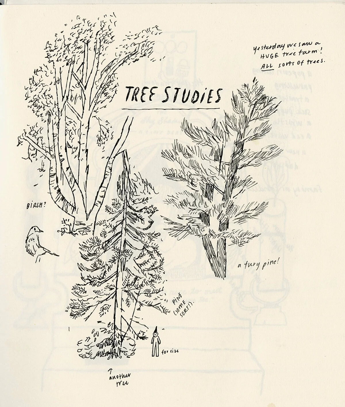 The Magic Of PERSONAL WORK — Rebecca Green Illustration