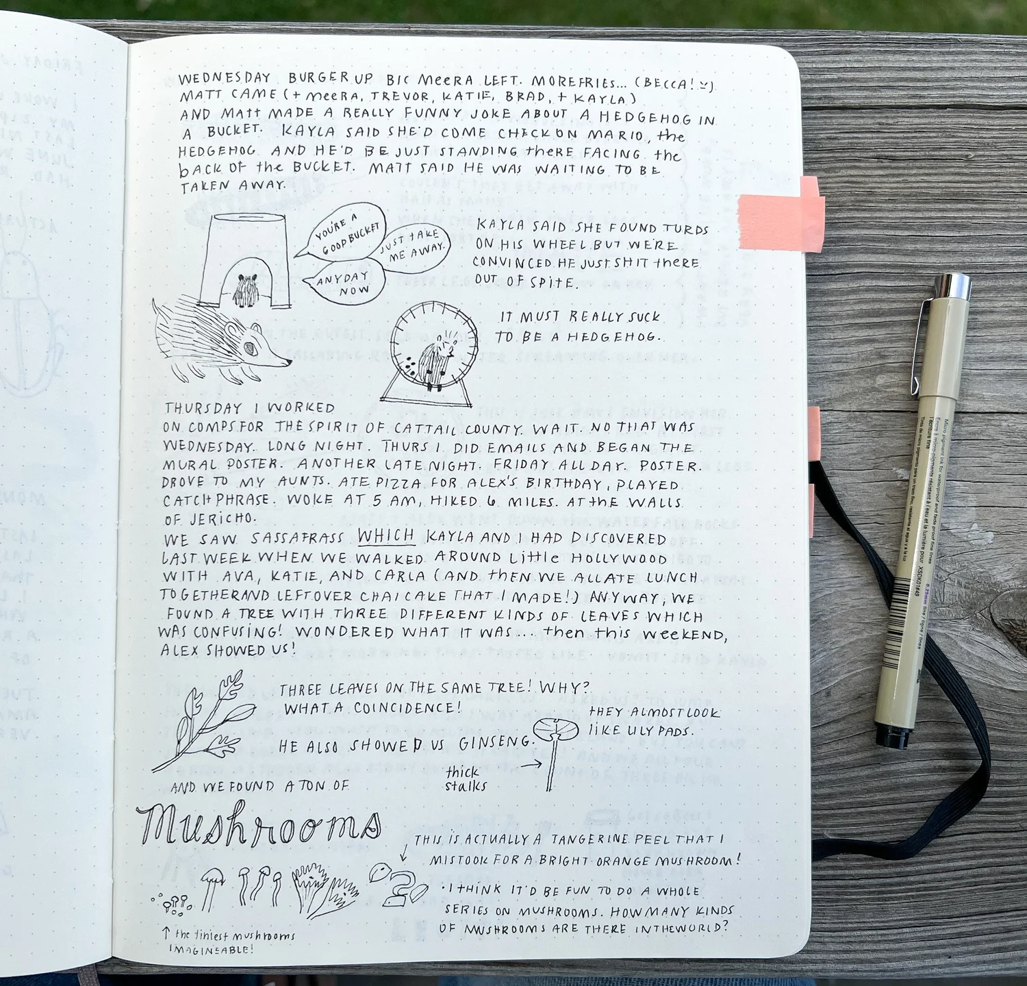 VISUAL JOURNALING — Rebecca Green Illustration