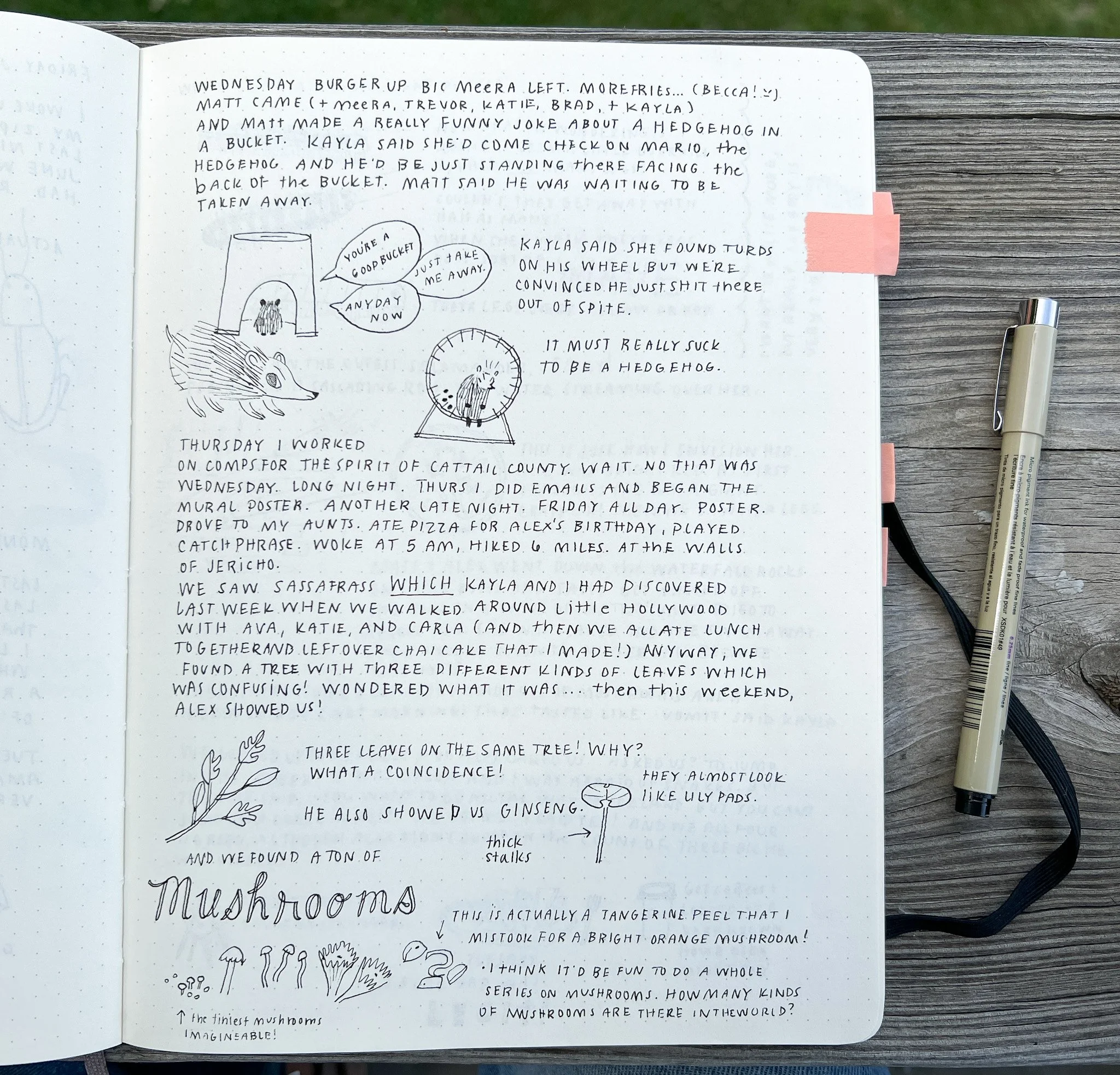 VISUAL JOURNALING — Rebecca Green Illustration