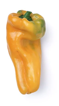 Primi / First Courses — Innovation in Tuscan Cooking