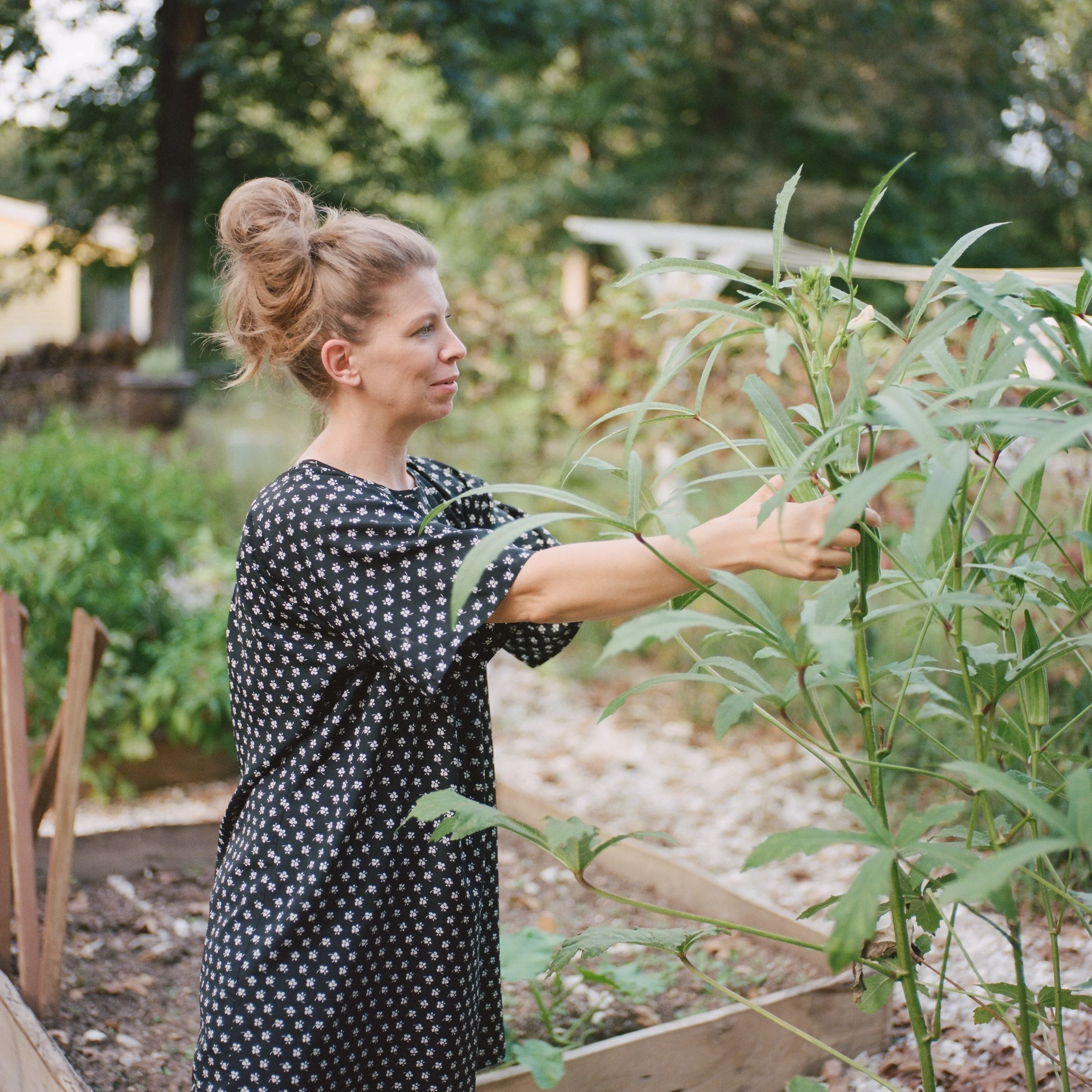 Market — Janie Edwards