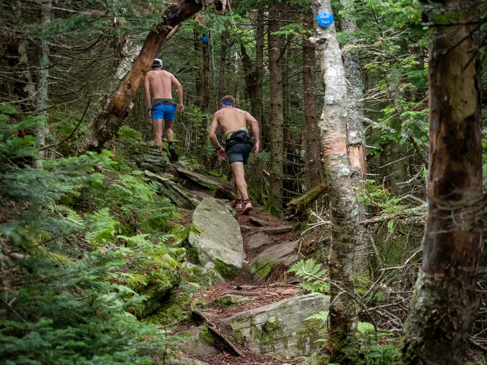 Video: 2017 Escarpment Trail Run "Sights & Sounds from the Finish Line ...
