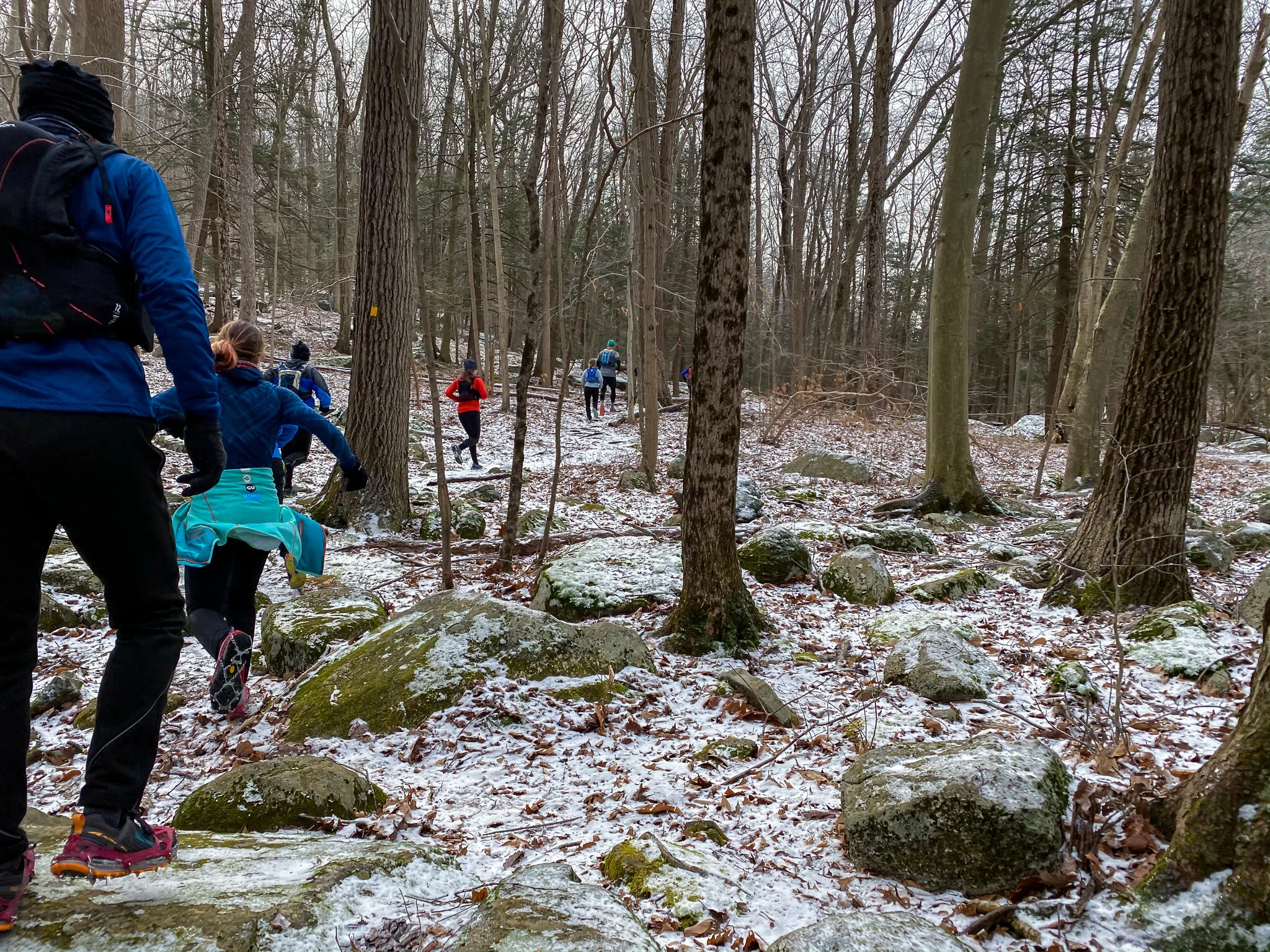 A Winter RUN with Friends from the MPF Adventure Club & TEAM — Mountain ...