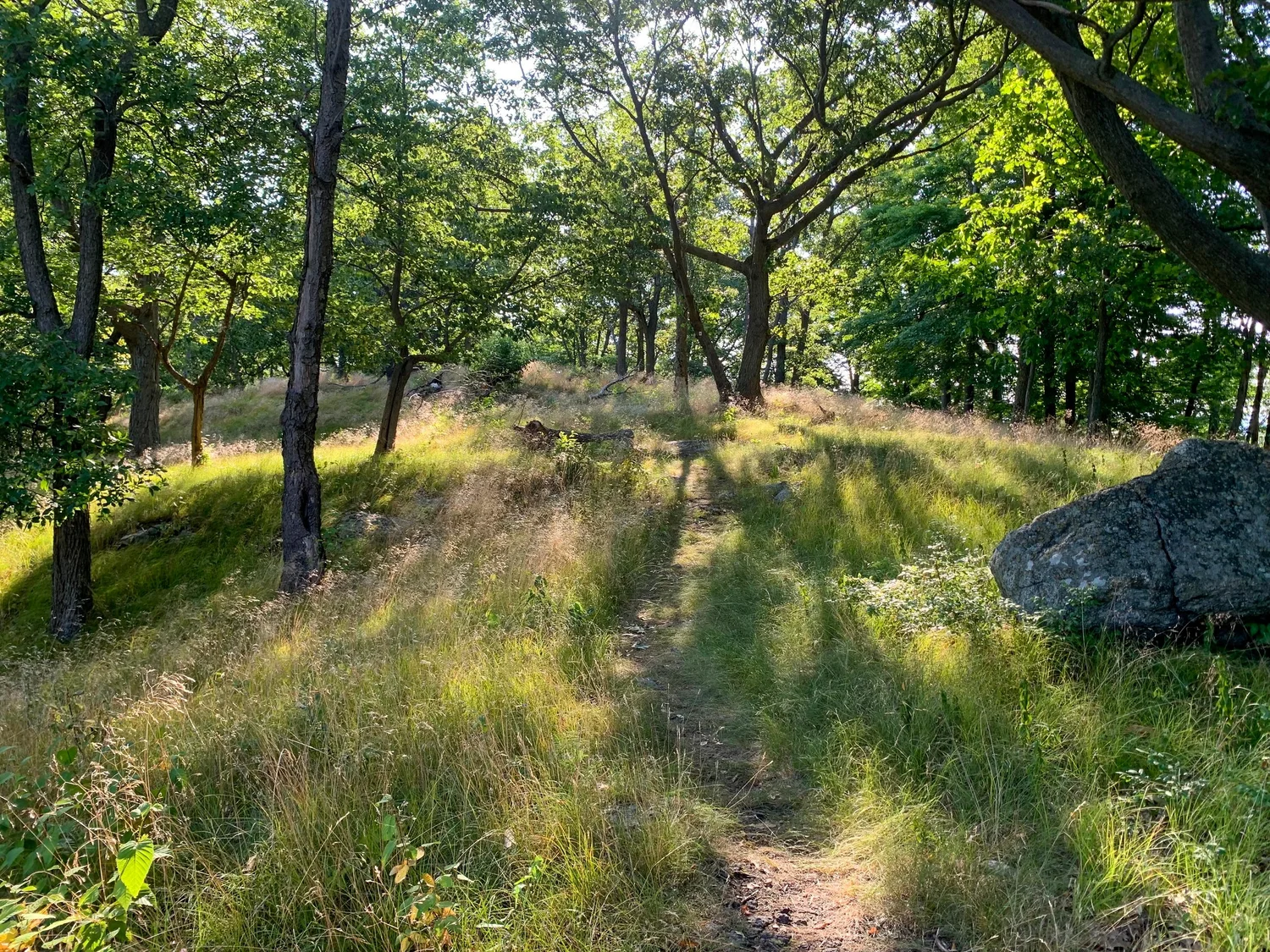 Suffern Bear Mountain FKT Report by MPF Athlete Blythe Yost — Mountain ...