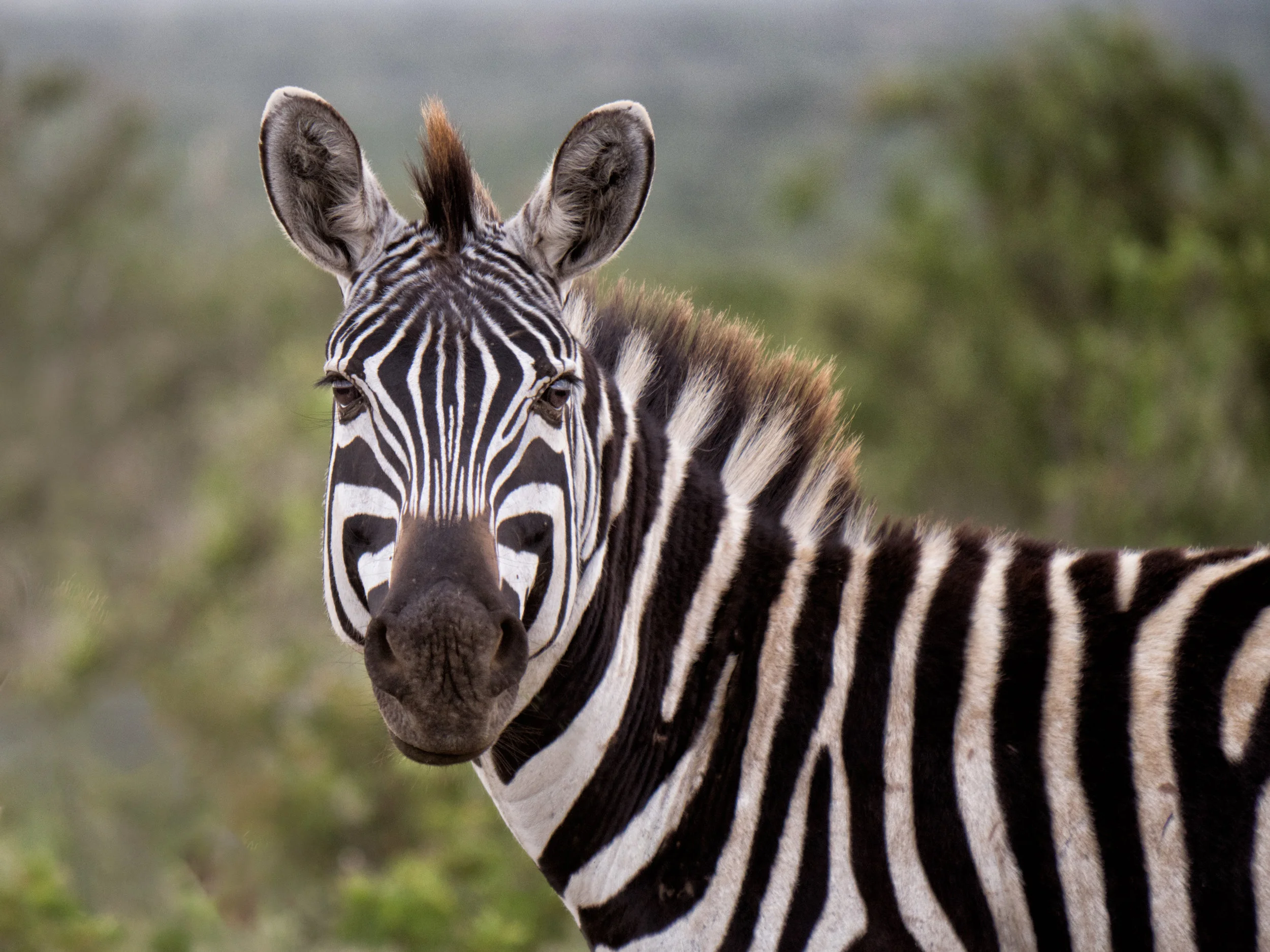 Basics — Princeton Photo Workshop