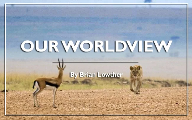 Our Worldview — Roberta Winter Institute