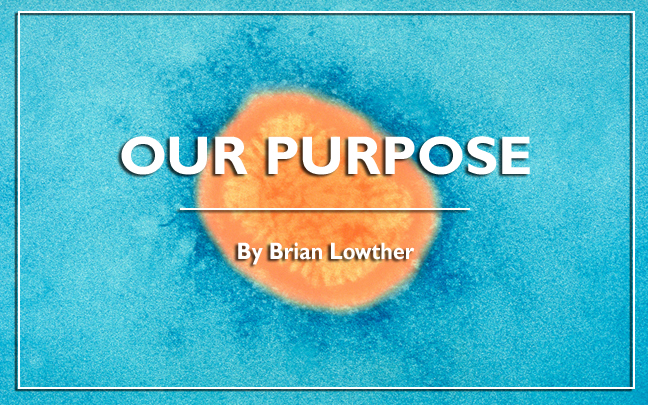 Our Purpose — Roberta Winter Institute
