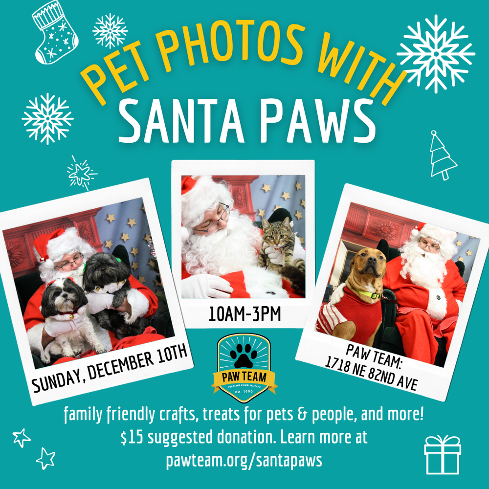 Photos with Santa Paws — Portland Animal Welfare Team