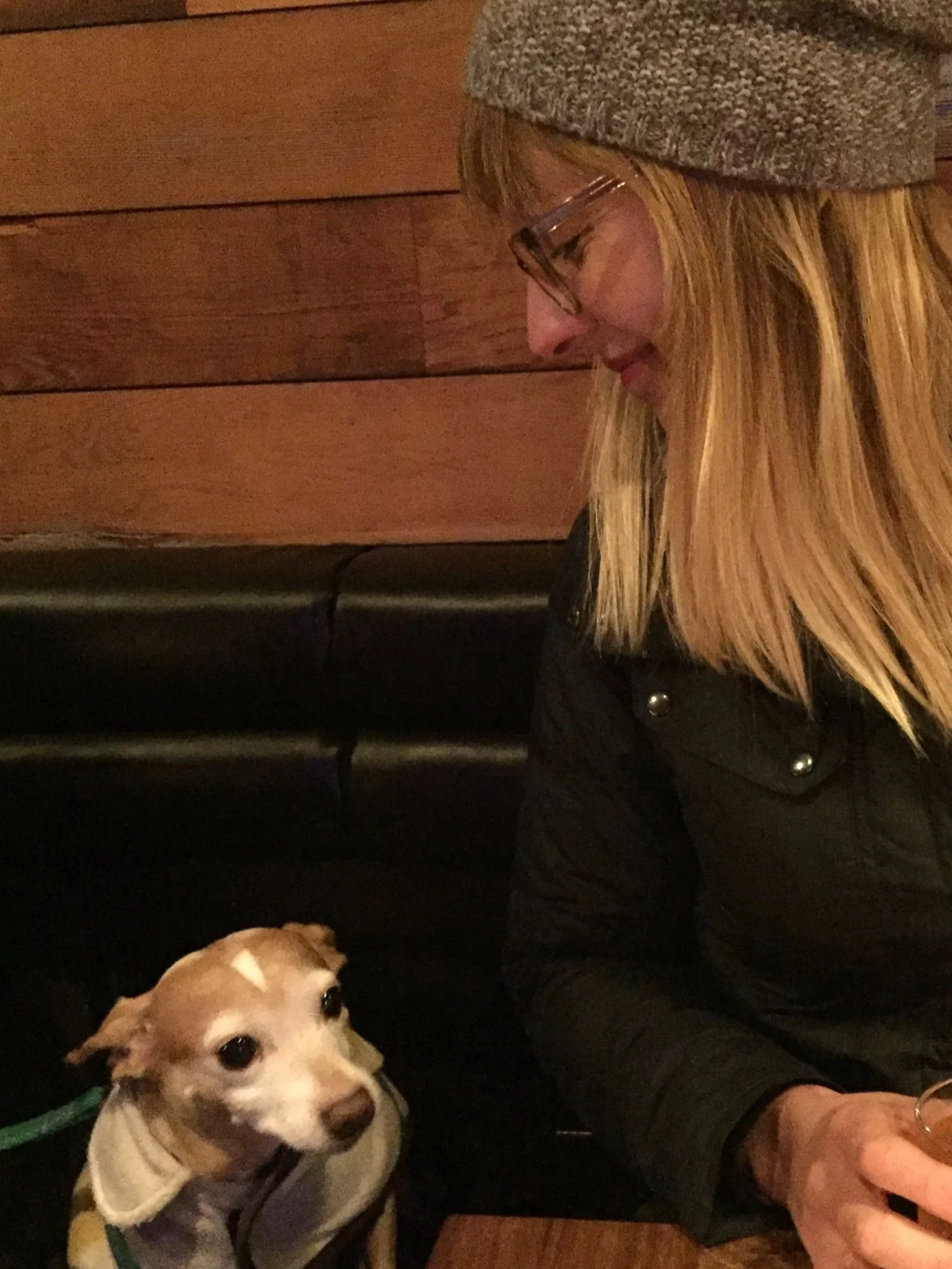 Staff & Board — Portland Animal Welfare Team