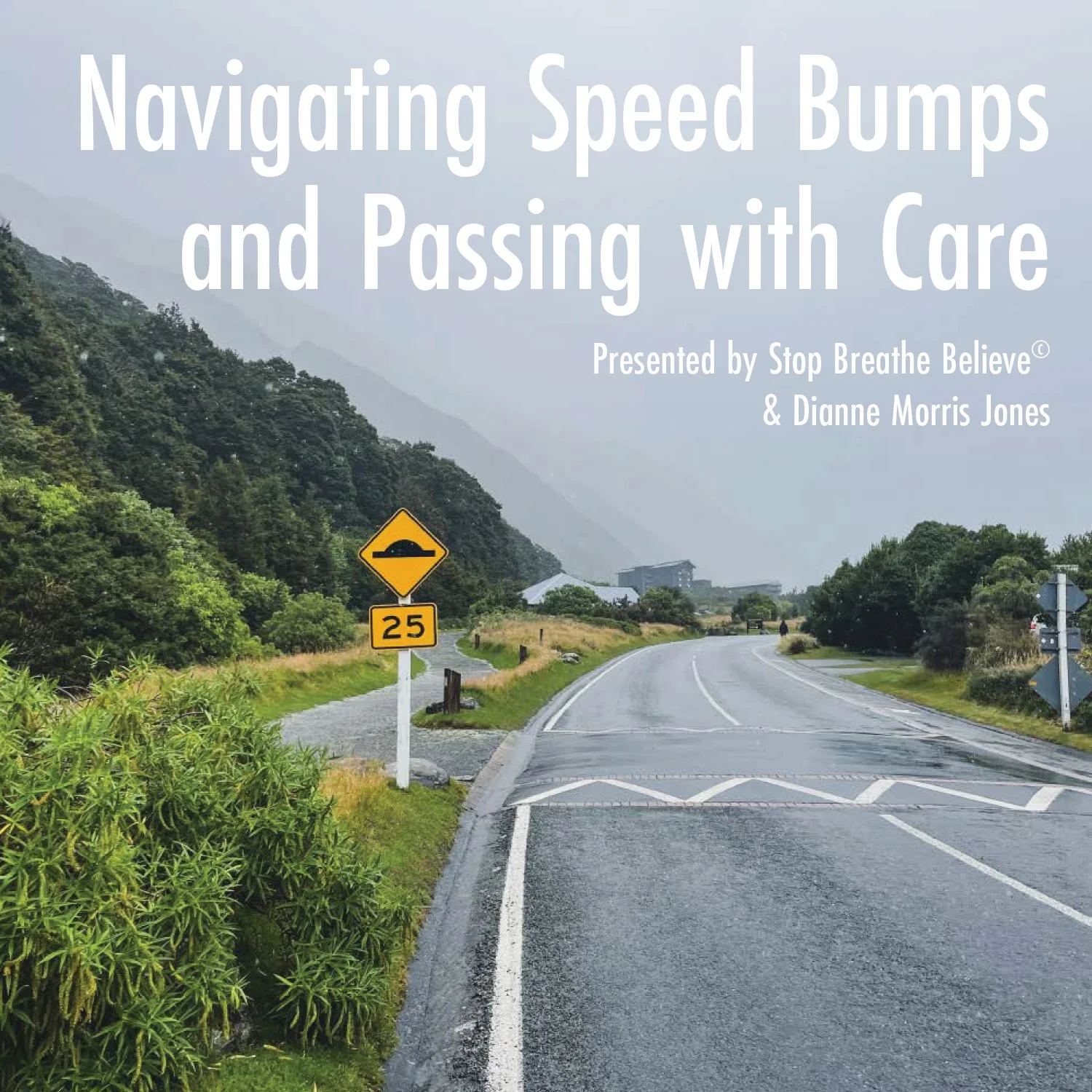 Navigating Speed Bumps and Passing with Care — Dianne Morris Jones, LPC ...