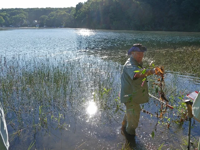2016 Foray — Michigan Botanical Society