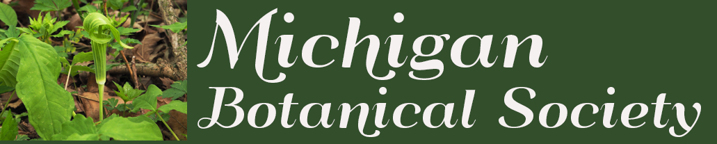 Michigan Big Tree Program Database — Michigan Botanical Society