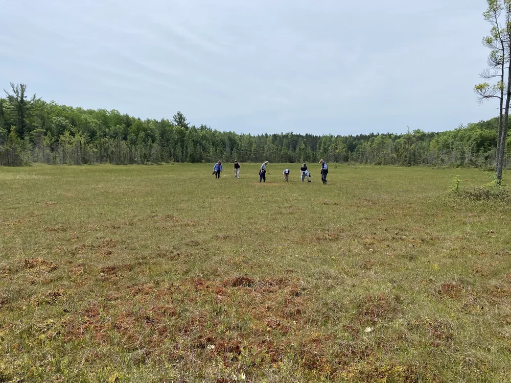 Great Lakes Chapter — Michigan Botanical Society
