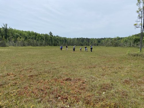 Great Lakes Chapter — Michigan Botanical Society