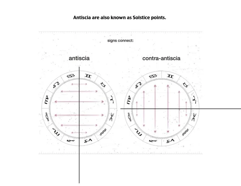 Worksheets and Resources for Antiscia created by Kate Fluckinger Petty ...
