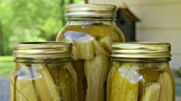 Upcoming Events — Vines & Rushes Winery