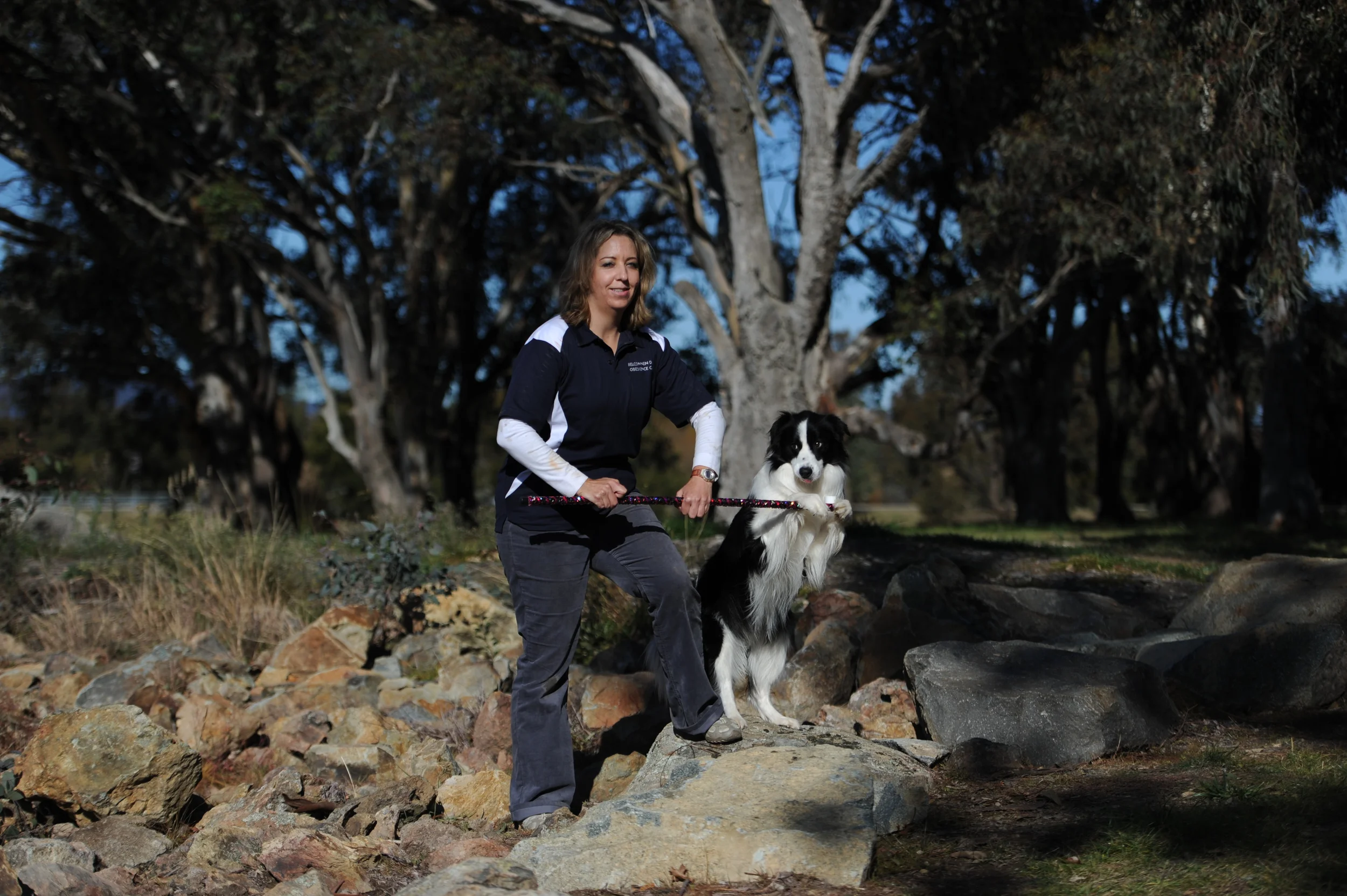 TEAMS — Musical Dog Sport Association