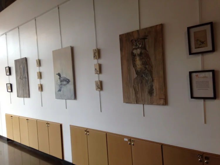 Blog — Alexa Carson