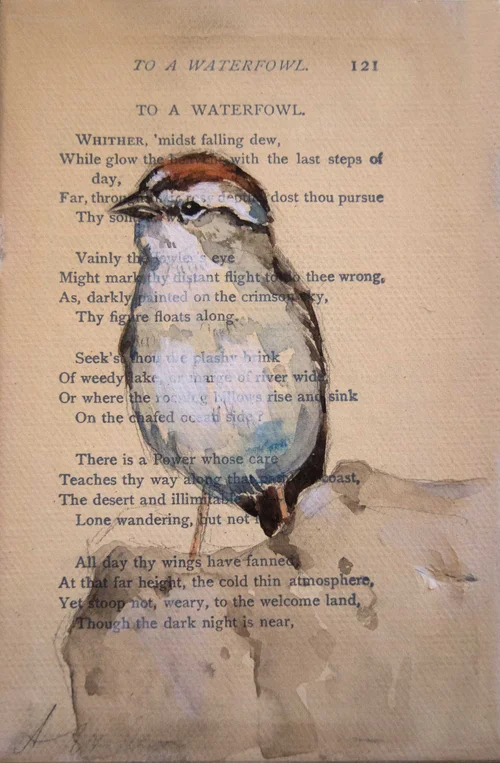 Blog — Alexa Carson