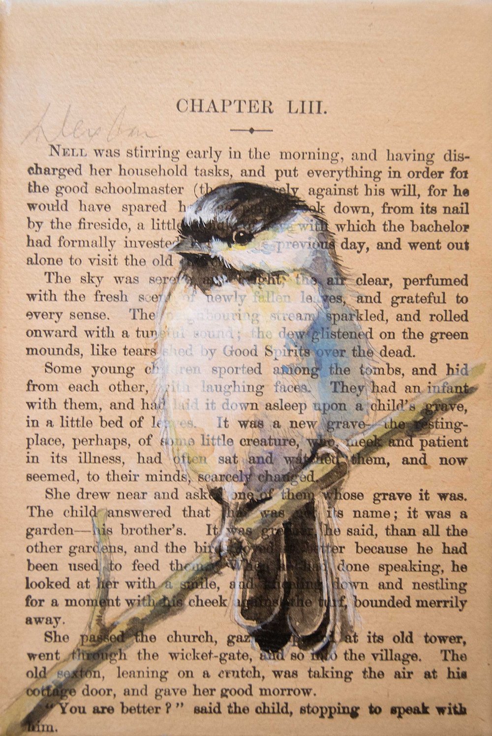 Blog — Alexa Carson