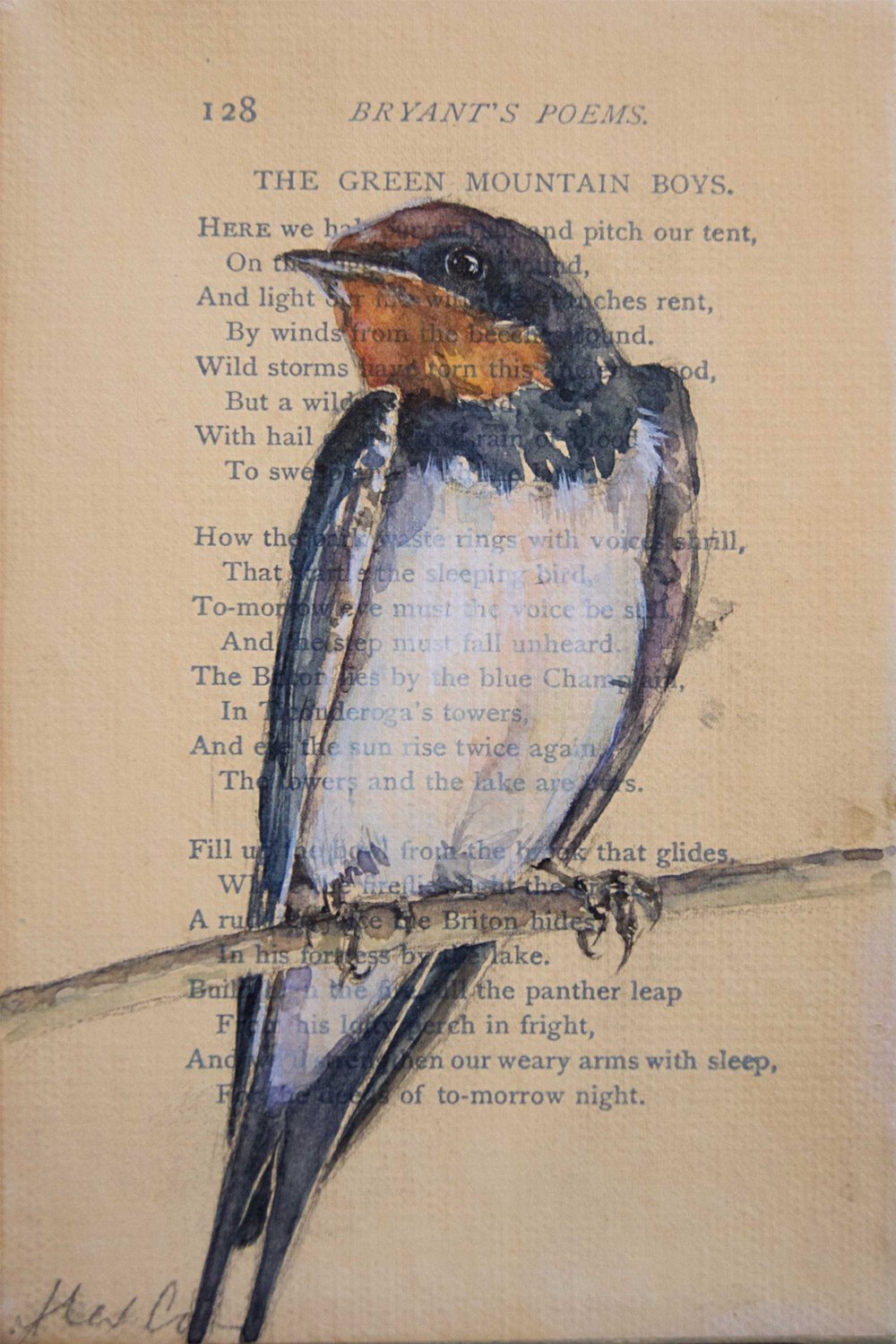 Blog — Alexa Carson