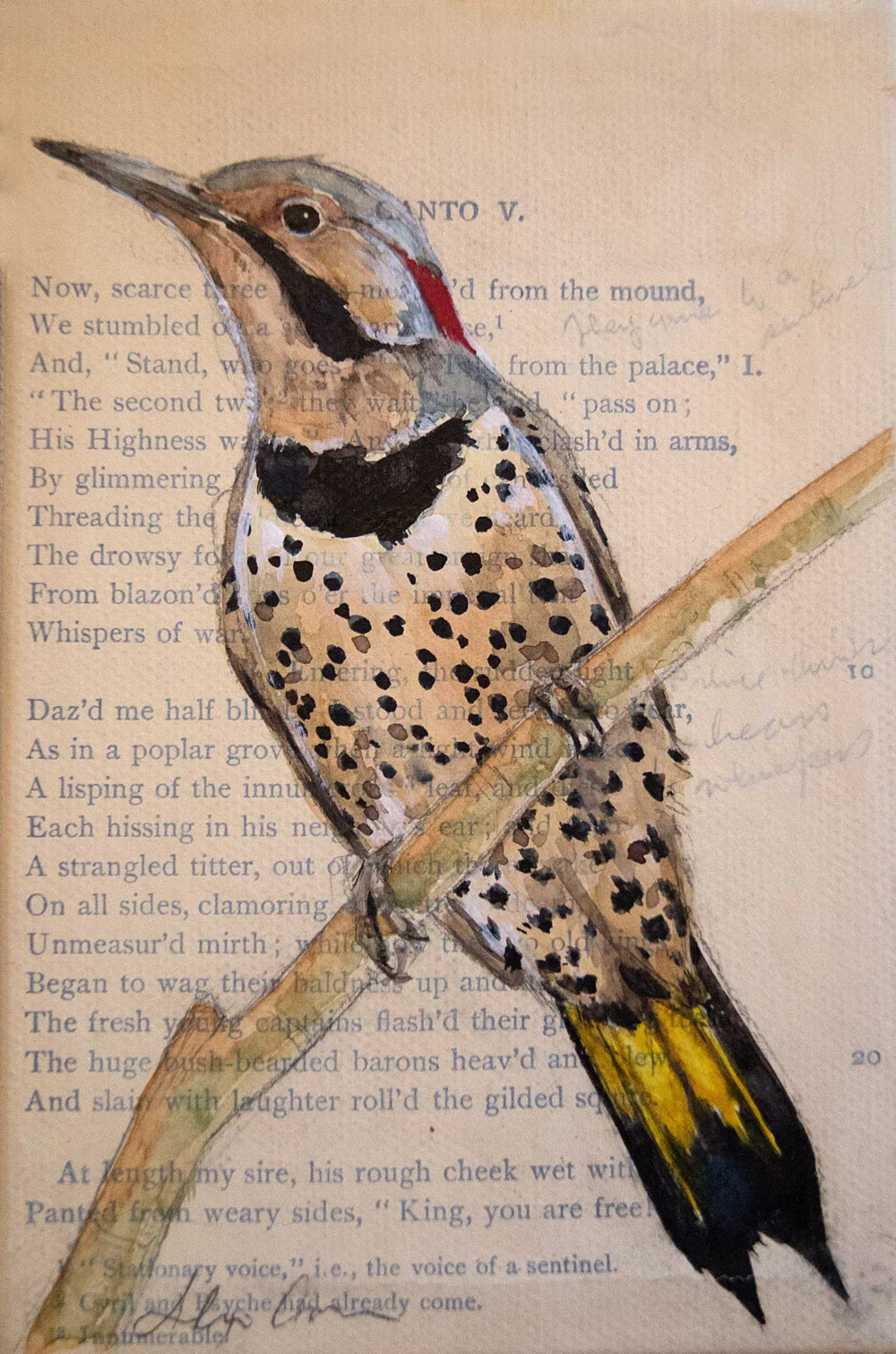 Blog — Alexa Carson