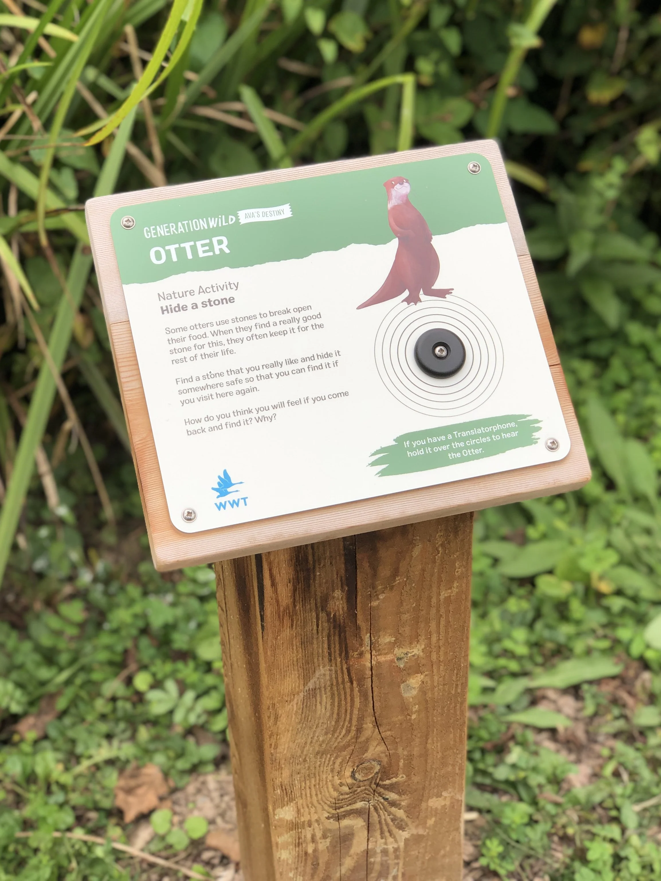 Generation Wild — Stand + Stare