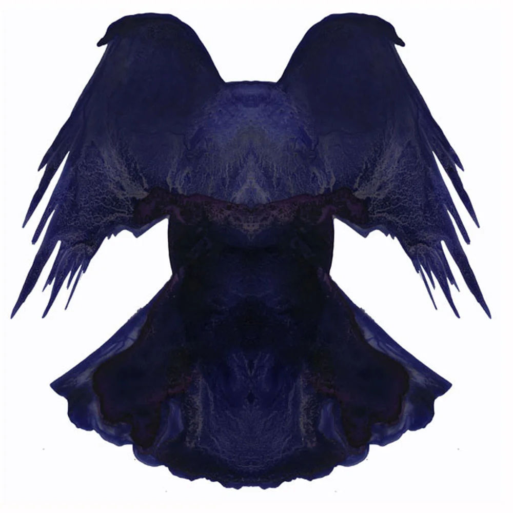 Crow: Mirror, Muse and Sentinel — Erica Hansen Studios