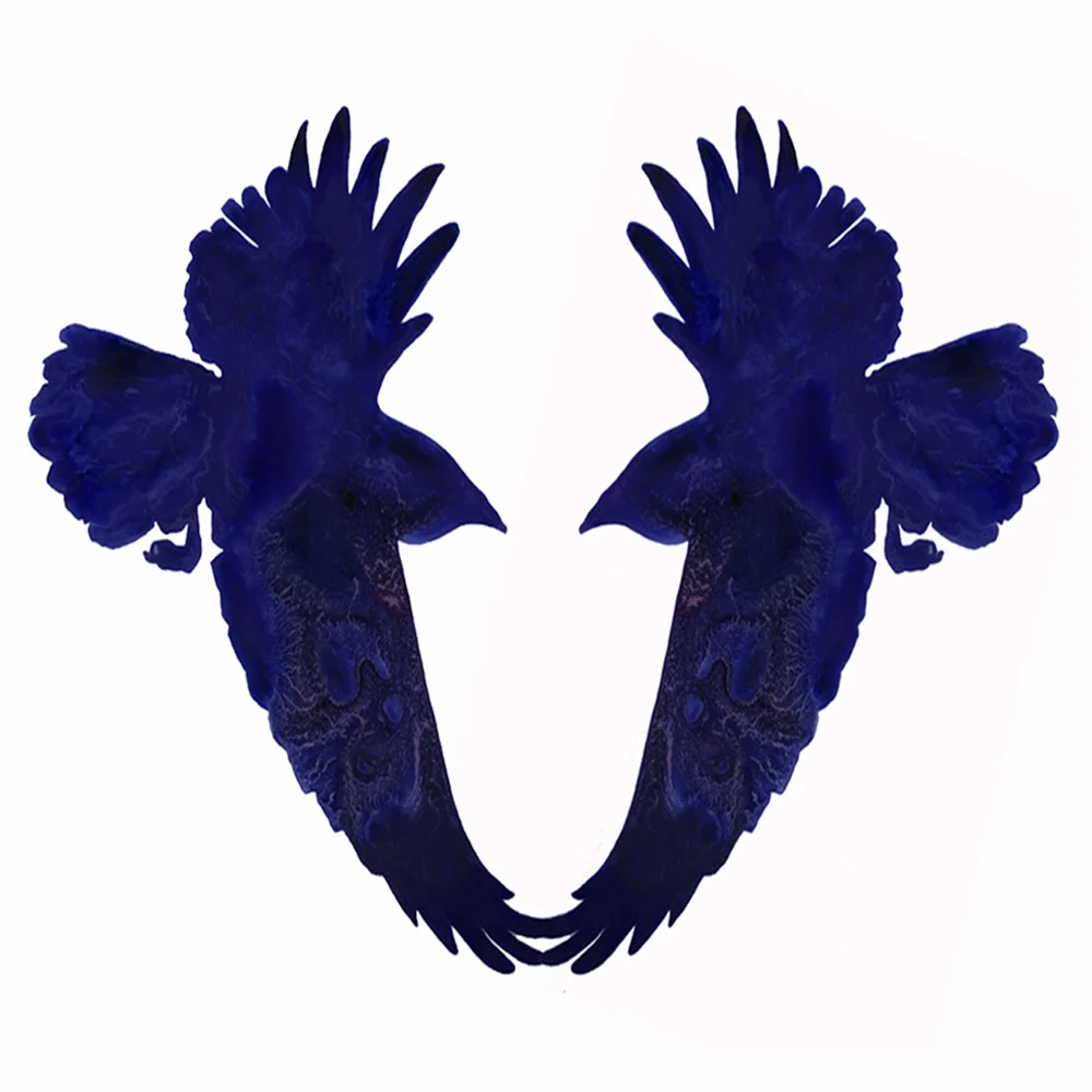 Crow: Mirror, Muse and Sentinel — Erica Hansen Studios