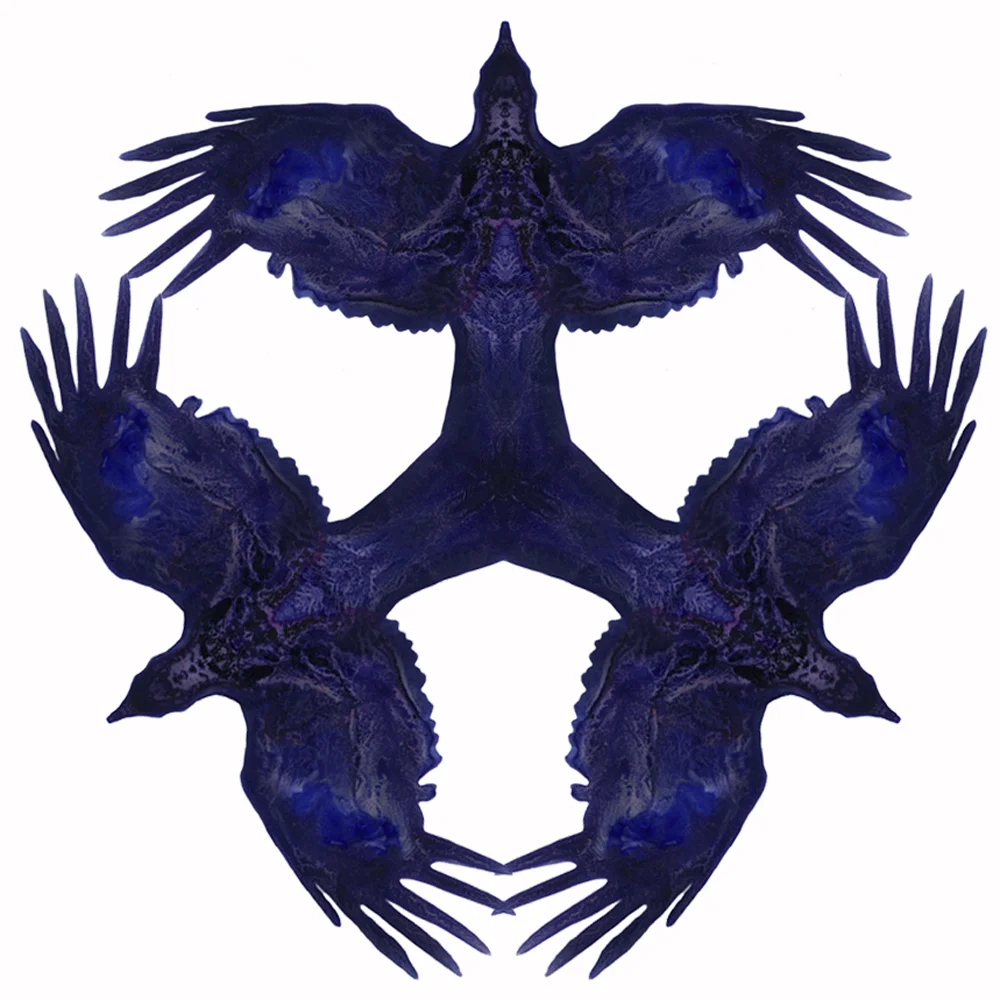 Crow: Mirror, Muse and Sentinel — Erica Hansen Studios