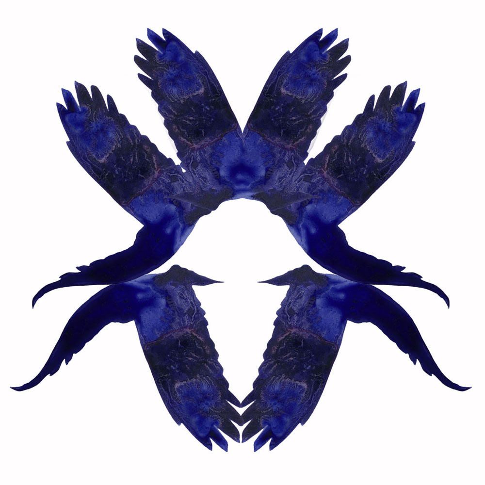 Crow: Mirror, Muse and Sentinel — Erica Hansen Studios