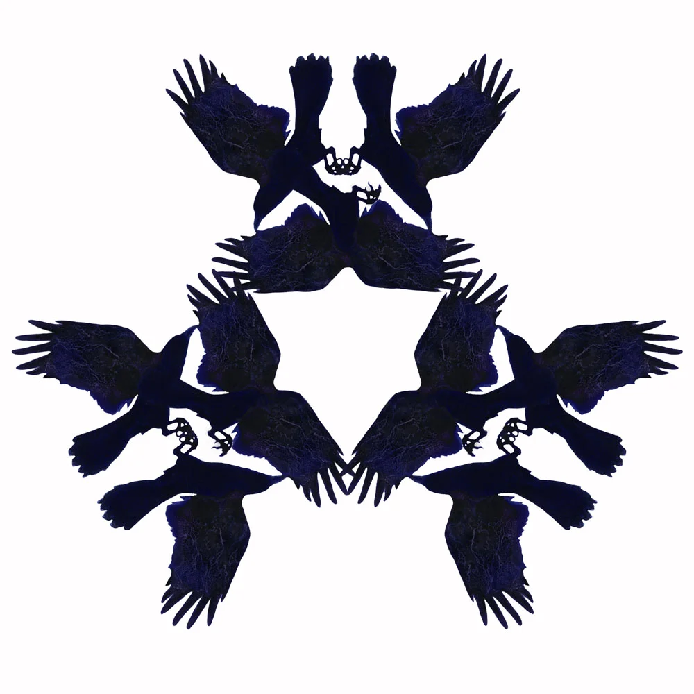Crow: Mirror, Muse and Sentinel — Erica Hansen Studios