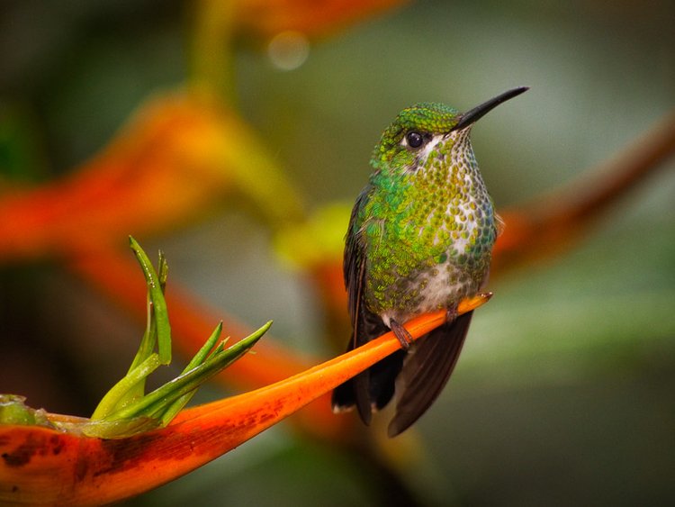Today's Awesome Guest Blogger: Rob Knight — Rick Sammon Photography
