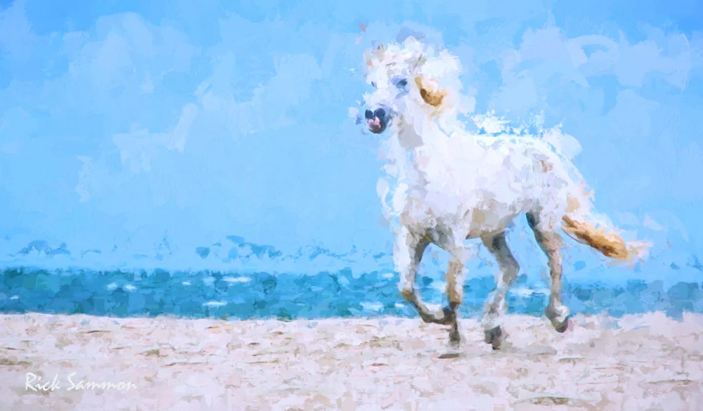 Immerse Yourself This Weekend in Creating Impressionistic-like Images ...