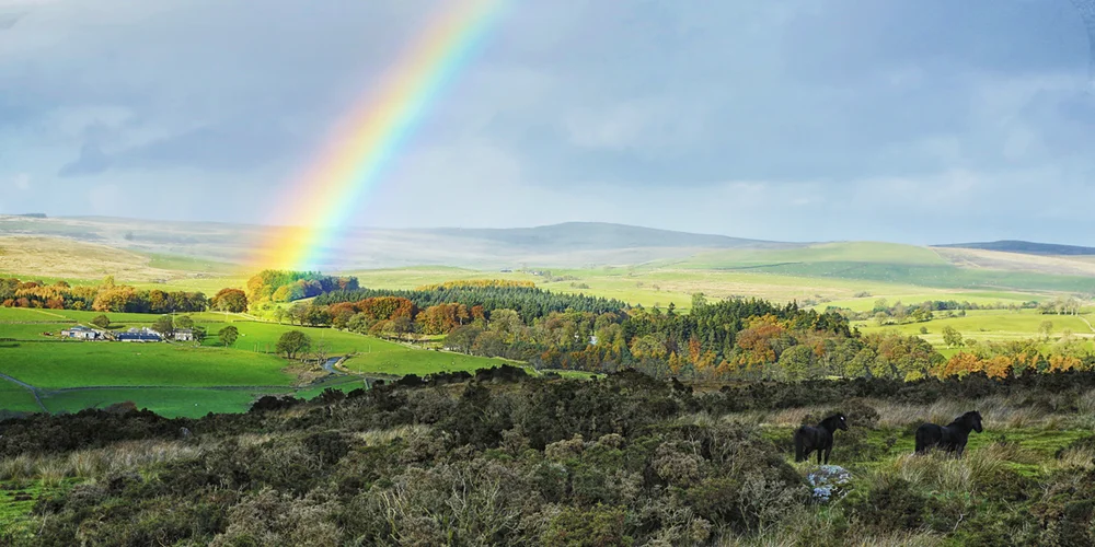 Favorite Photographs From The Conwy Valley, North Wales — Rick Sammon ...