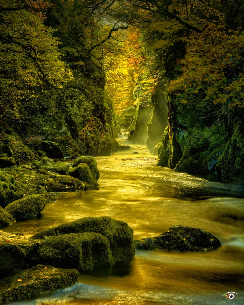 Capture the Beauty of Flowing Water — Rick Sammon Photography